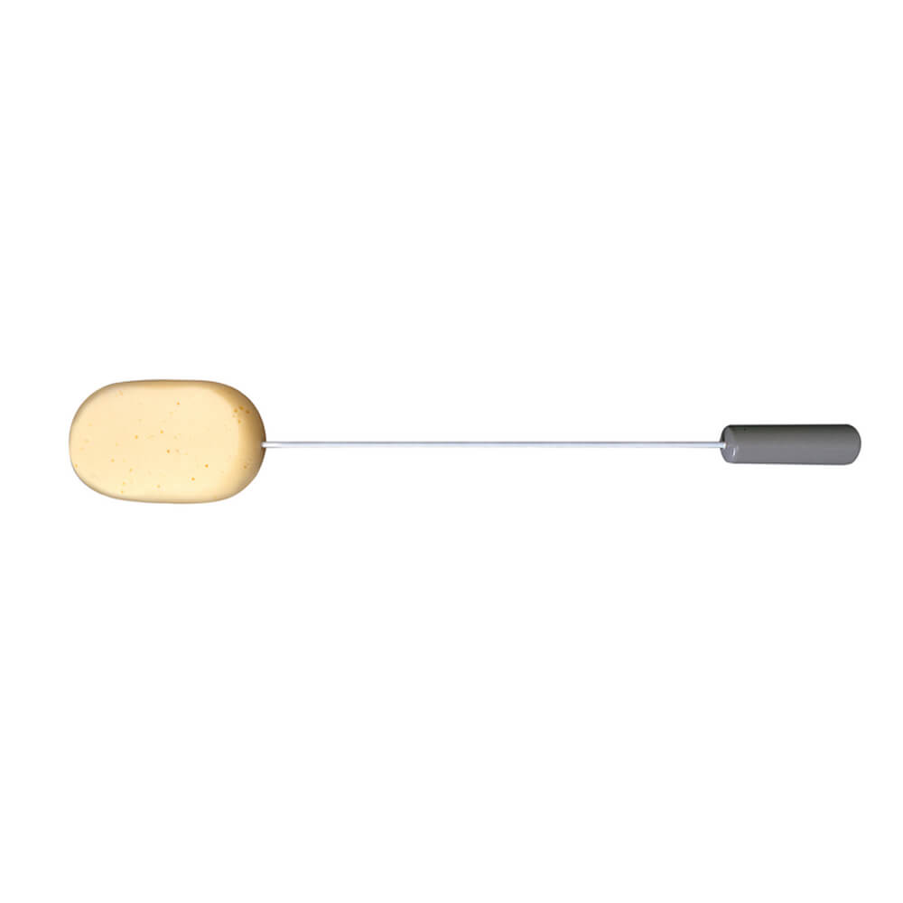 Homecraft Long Handled Sponge | Alpha Sport - Alpha Sport
